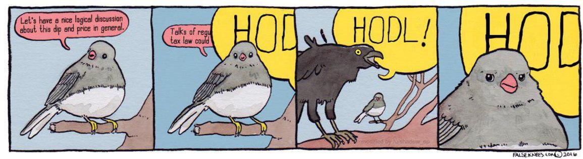 HODL | Annoyed Bird | Know Your Meme
