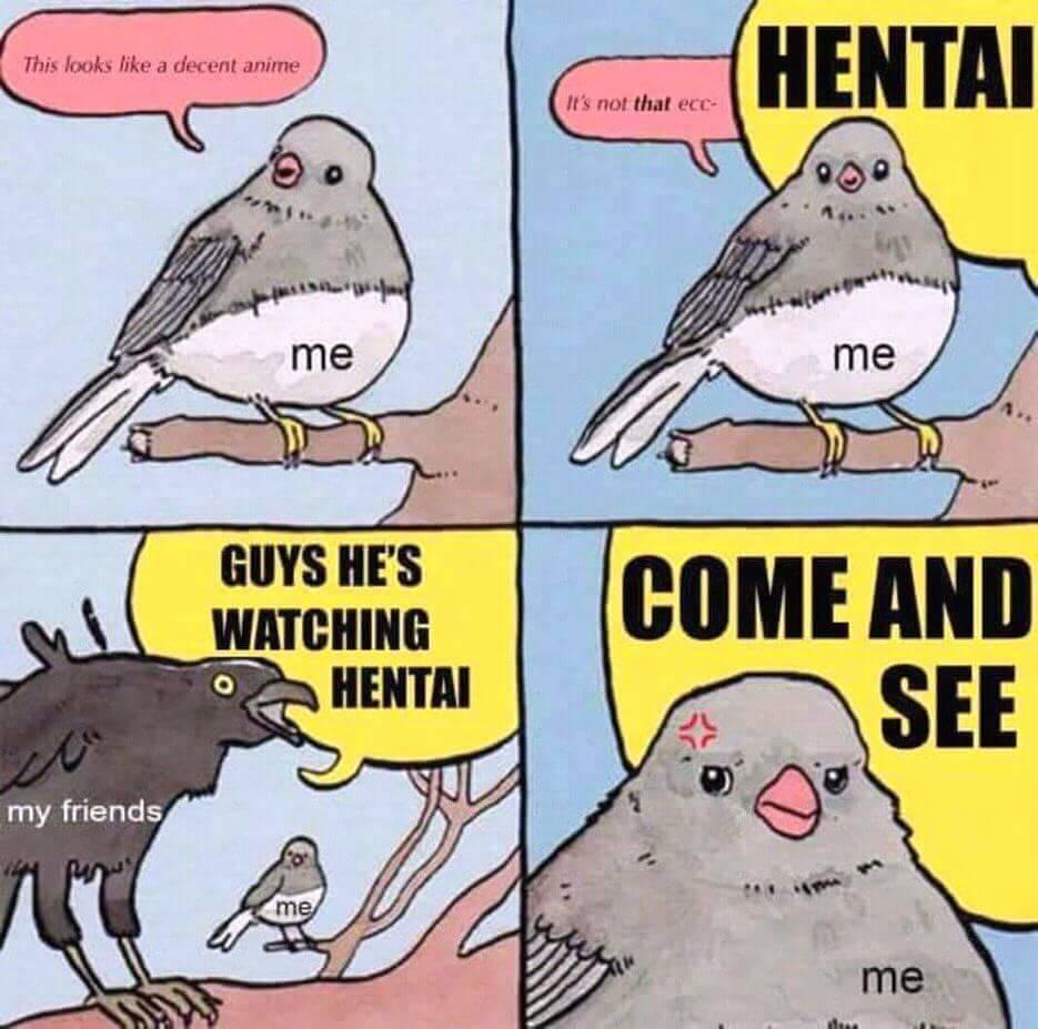 Actually watching it for the plot | Annoyed Bird | Know Your Meme