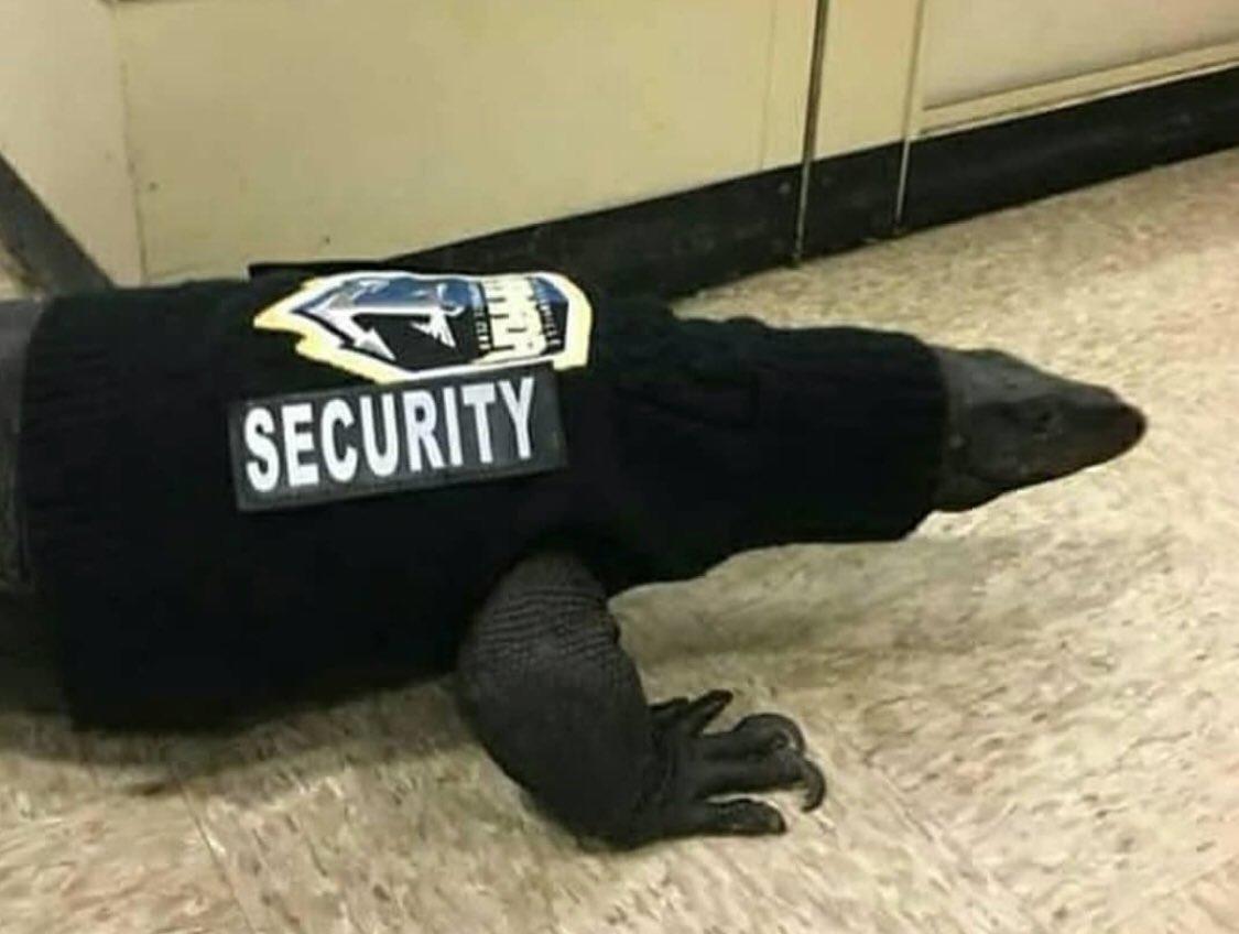 Safety Monitor by TheSheriffArt on Newgrounds