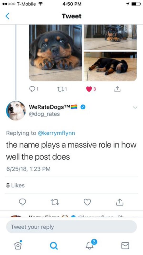 Admission | We Rate Dogs | Know Your Meme