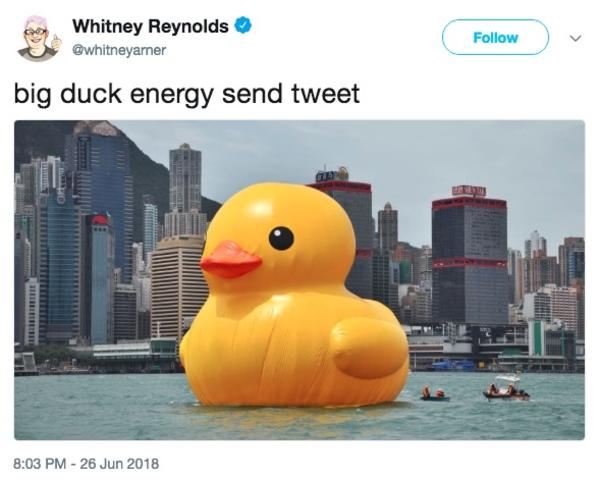 Big Duck Energy | Send Tweet | Know Your Meme