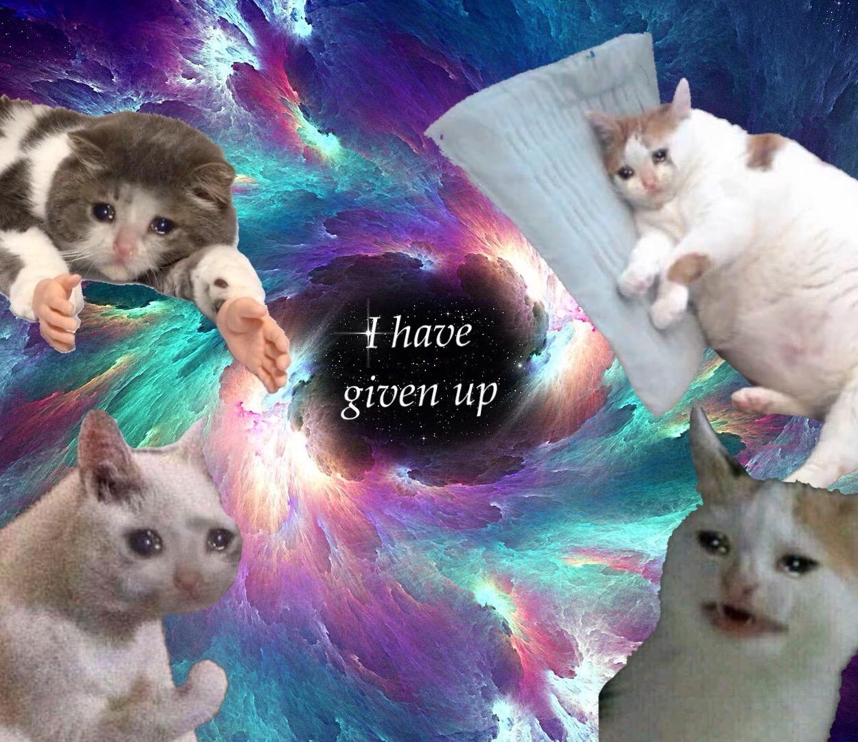 given up | Crying Cat | Know Your Meme