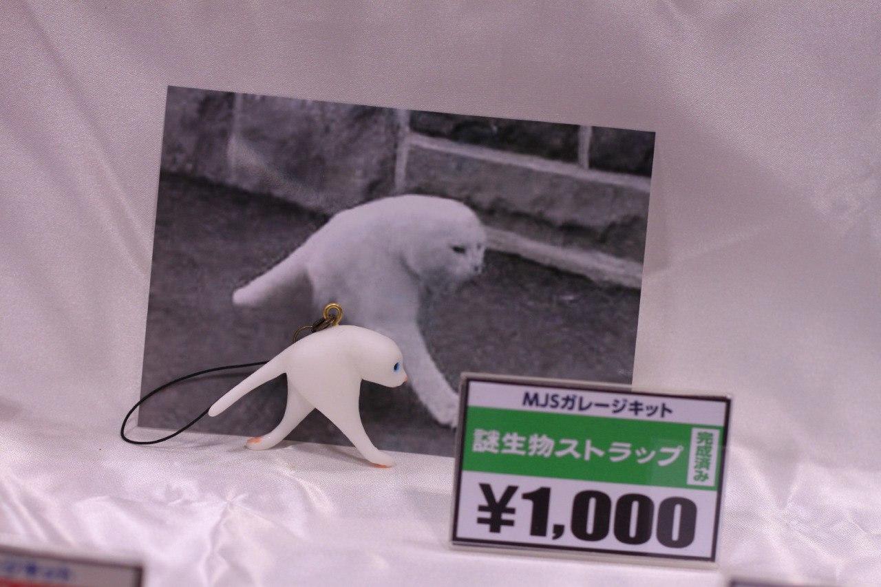 half cat merchandise | Half Cat / Panorama Fail Cat | Know Your Meme