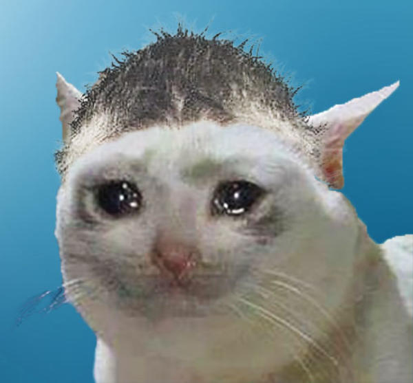 just | Crying Cat | Know Your Meme