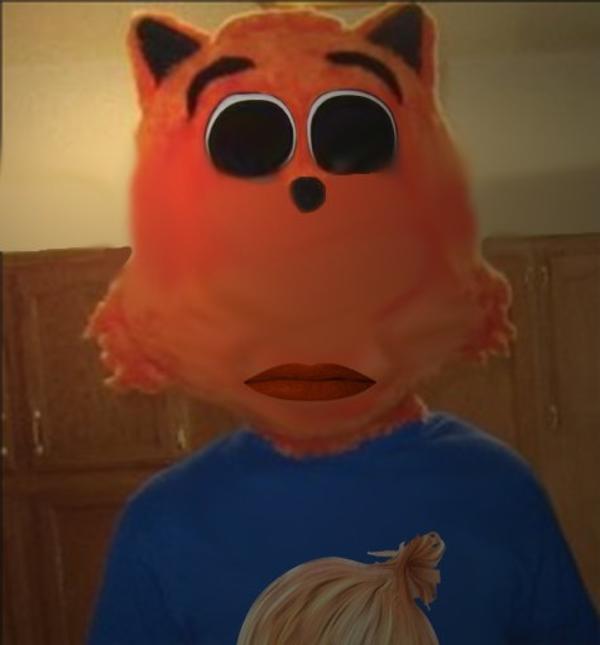 Cool cat | Obunga | Know Your Meme