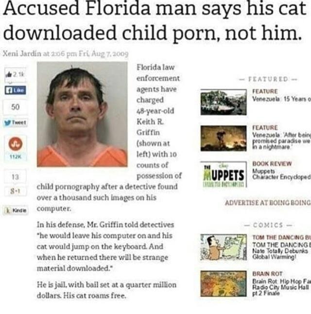 Florida Cat | Florida Man | Know Your Meme