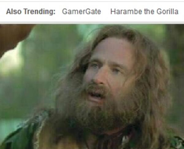 No seriously. What. | Know Your Meme | Know Your Meme