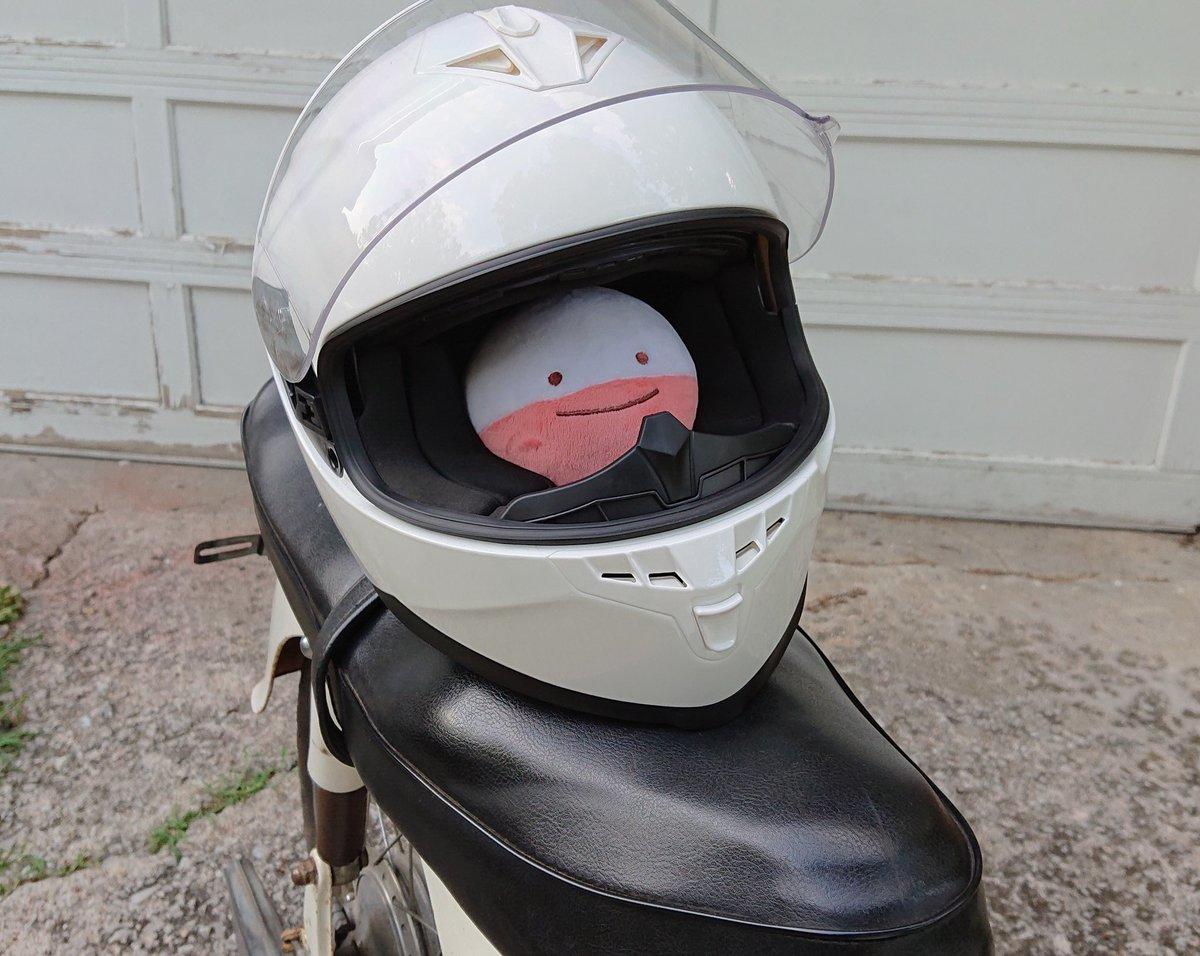 Ditto Electrode Ride | Ditto Electrode | Know Your Meme