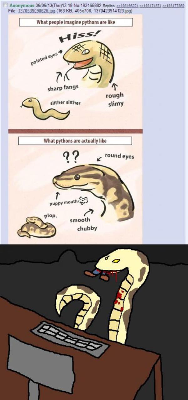 Python propaganda | Critters Posting On 4chan | Know Your Meme