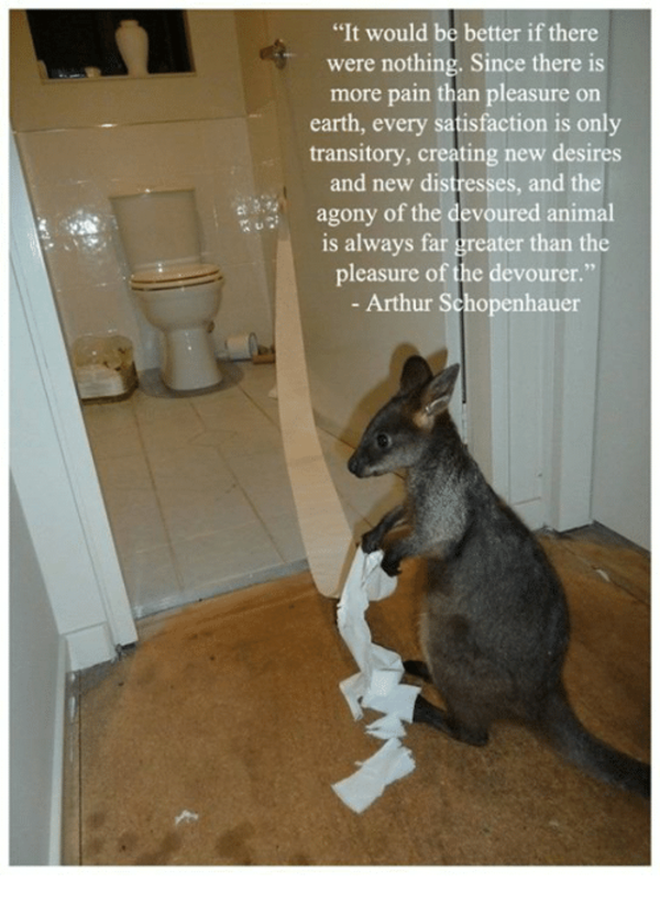 It would be better if there were nothing. | Animals | Know Your Meme