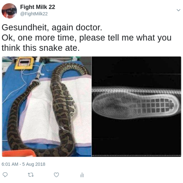 I think snake at an aaa aaa aaaaa CHOOOOOO | Snakes | Know Your Meme