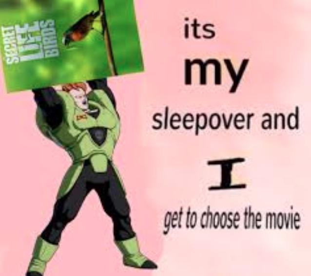 Secret Life of Bugs | It's My Sleepover and I Get to Choose the Movie ...