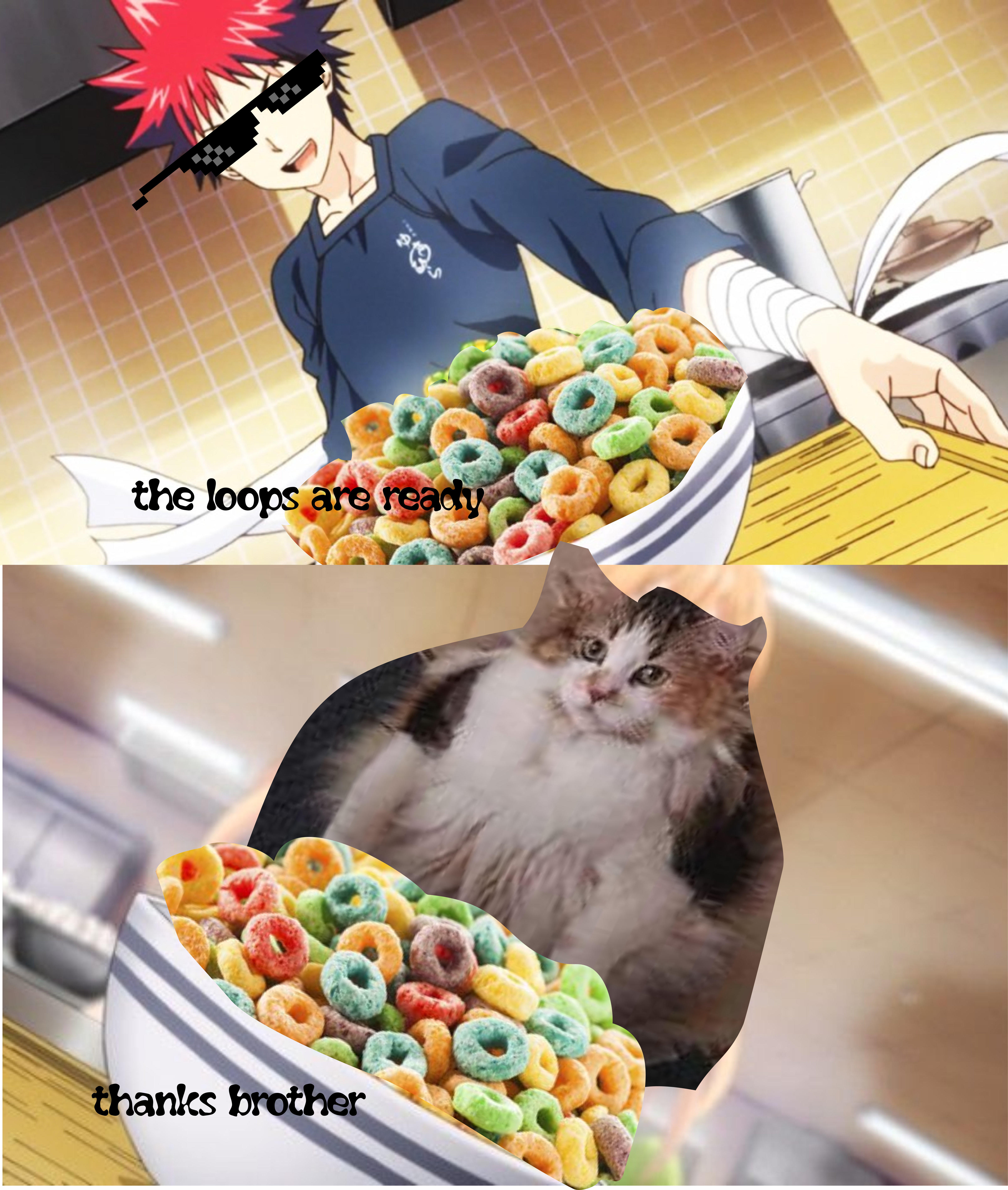 reasons why I should not have photoshop | Cats Wanting Fruit Loops ...