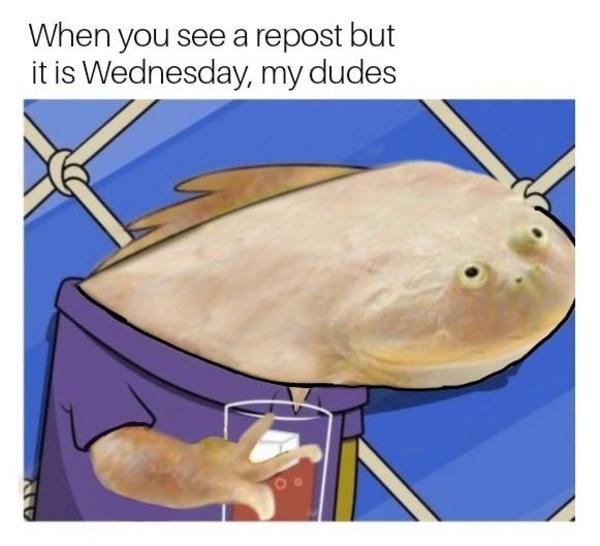 When you see a repost but it is Wednesday, my dudes | When You See A ...
