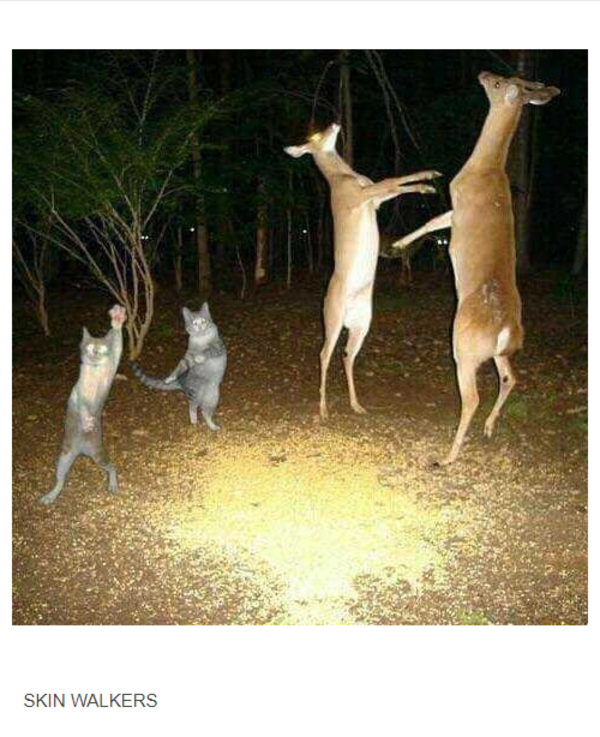 they are real | Skinwalker | Know Your Meme