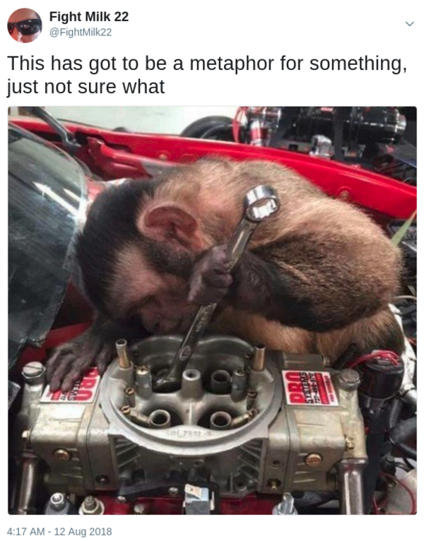Metaphor Monkey | Animals | Know Your Meme