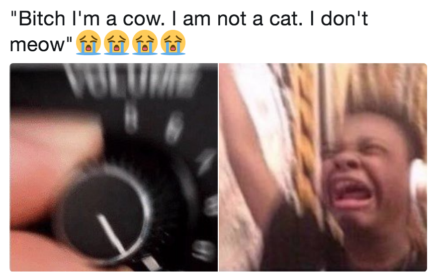 "Bitch I'm a cow. I am not a cat. I don't meow"😭😭😭😭 | Doja Cat's "Mooo ...