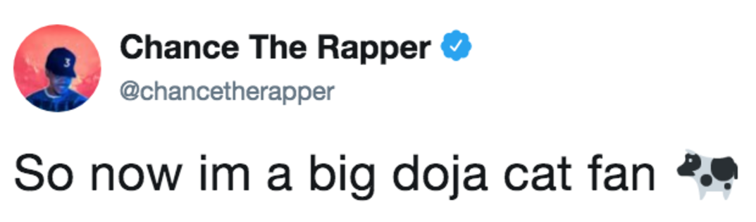 So now im a big doja cat fan 🐄 | Doja Cat's "Mooo!" | Know Your Meme