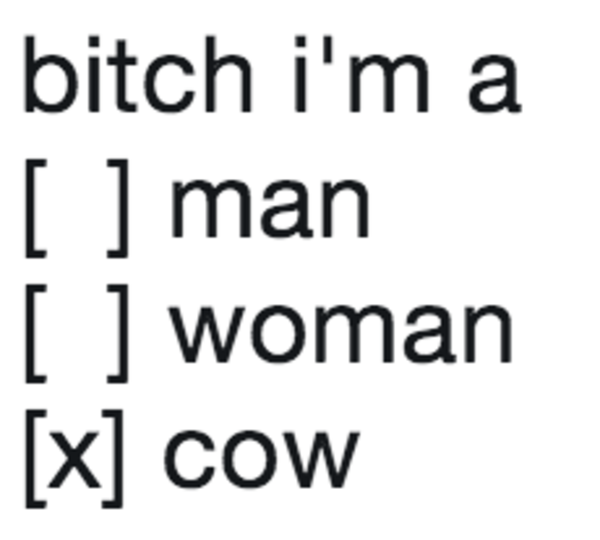 bitch i'm a [ ] man [ ] woman [x] cow | Doja Cat's "Mooo!" | Know Your Meme