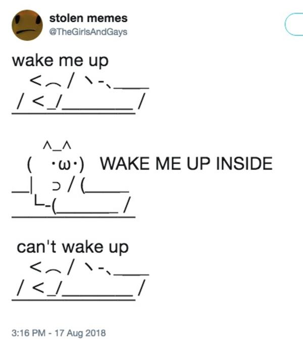 Wake Me Up | Sleeping ASCII Cat | Know Your Meme
