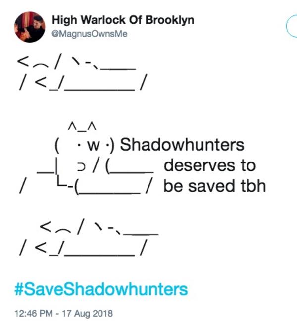 Shadowhunters | Sleeping ASCII Cat | Know Your Meme