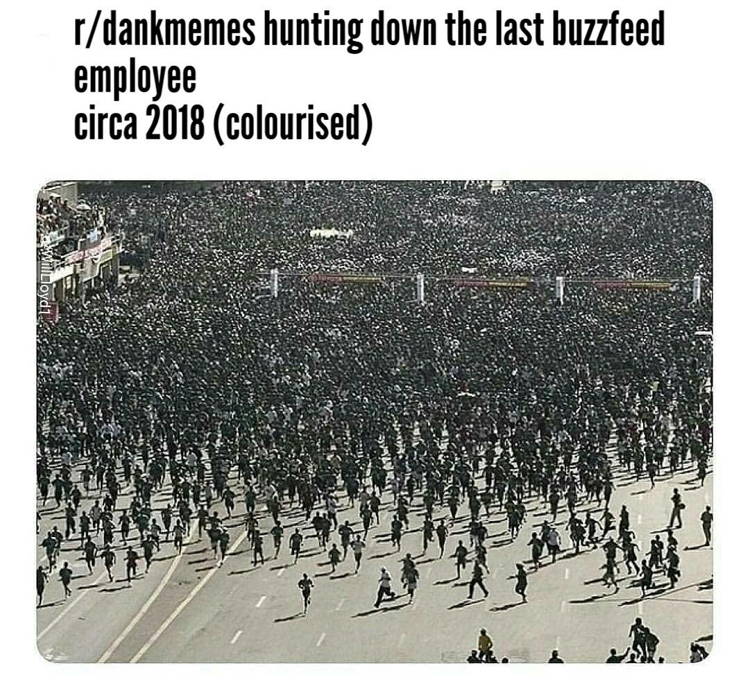 /r/dankmemes hunting down the last BuzzFeed employee | Delete BuzzFeed | Know Your Meme