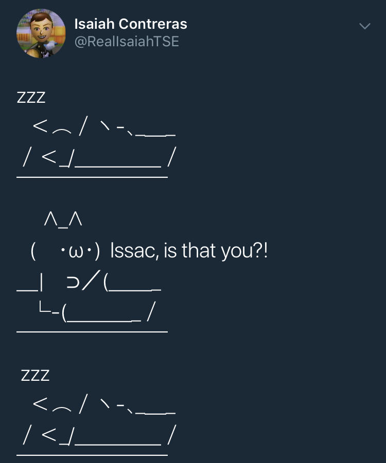 Issac?! | Sleeping ASCII Cat | Know Your Meme