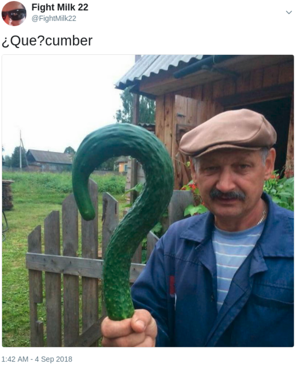 ?Que?Cumber | Pun | Know Your Meme