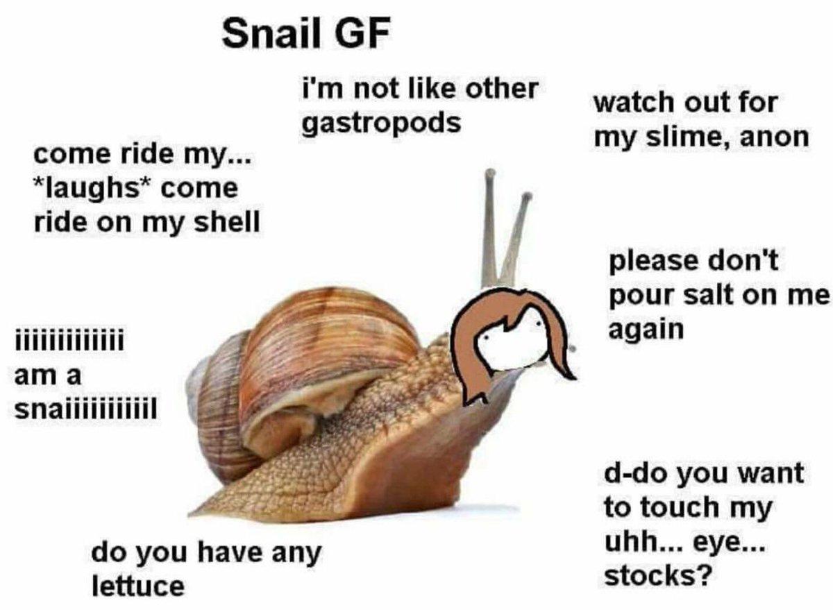 snail gf | Ideal GF | Know Your Meme