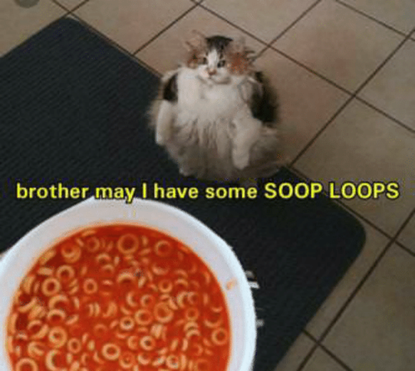 Brother may I have some soop loops | Cats Wanting Fruit Loops | Know ...