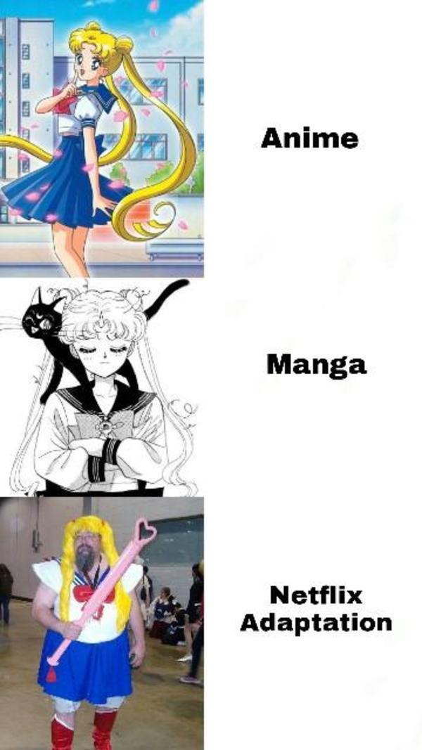 After Netflix's | Netflix Adaptation | Know Your Meme