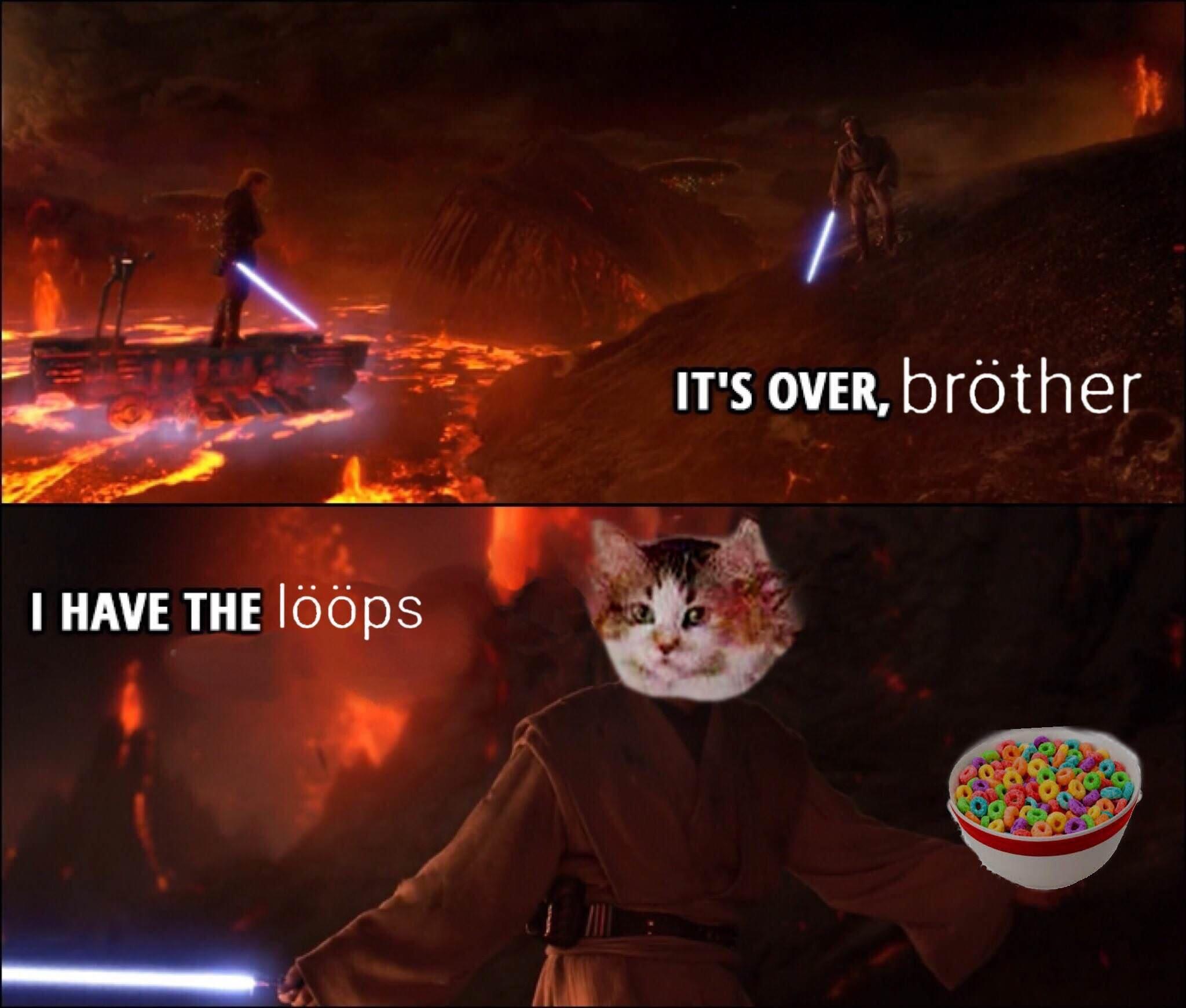 Bröther underestimates his power. | Cats Wanting Fruit Loops | Know ...