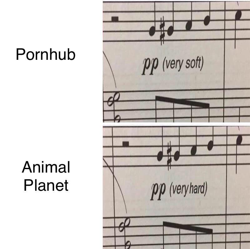 Beat the boga | PP (Very Soft) | Know Your Meme
