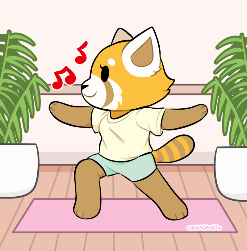 Yoga Time | Aggretsuko | Know Your Meme