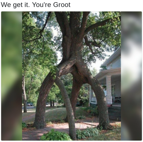 ugh, hate it when trees do this | I Am Groot | Know Your Meme