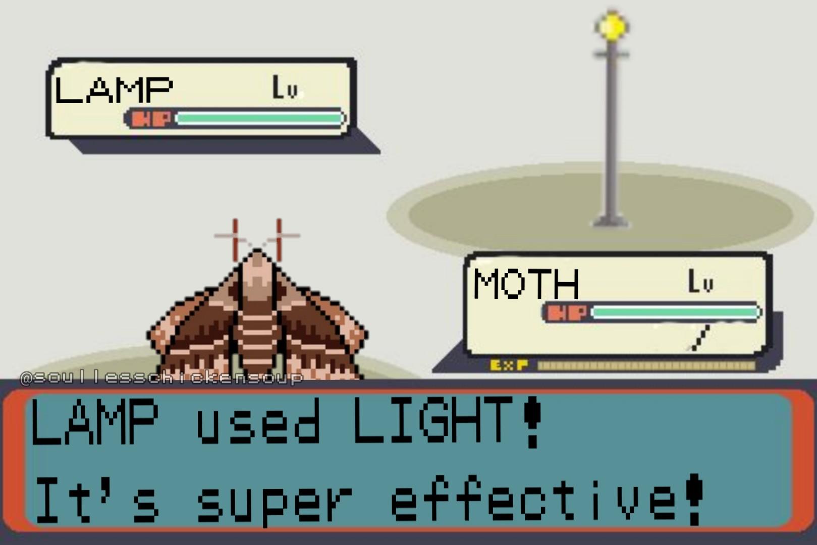 MOTH Pokémon | Moth Lamp | Know Your Meme