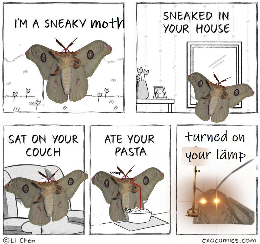 Sneaky Moth | Moth Lamp | Know Your Meme