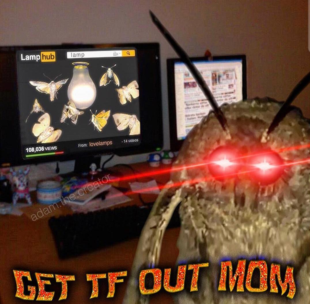 Get TF Out Mom | Moth Lamp | Know Your Meme