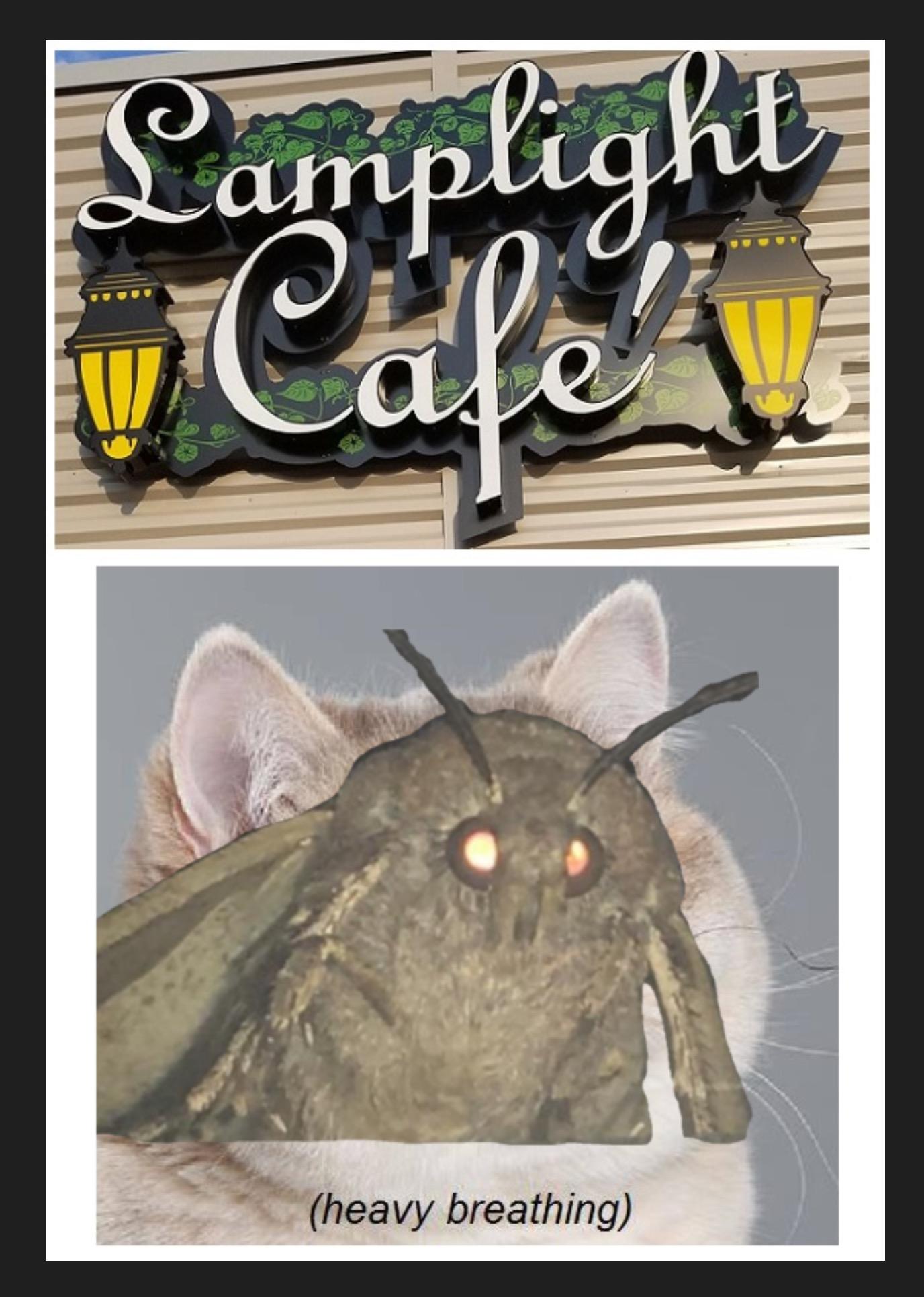 Lamplight | Moth Lamp | Know Your Meme