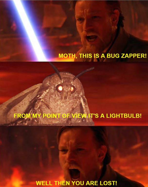 Don't fly it | Moth Lamp | Know Your Meme