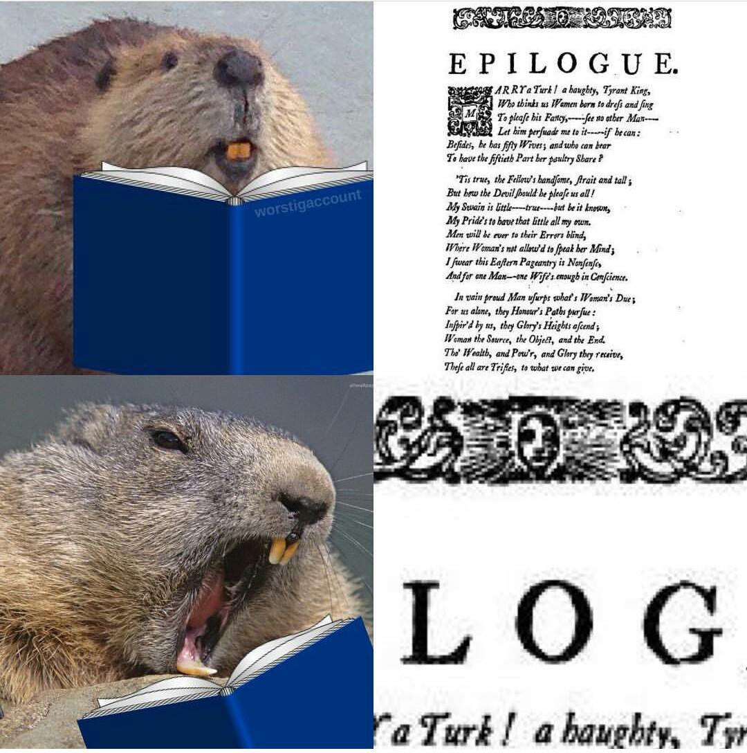 Beaver log | Beaver Log | Know Your Meme