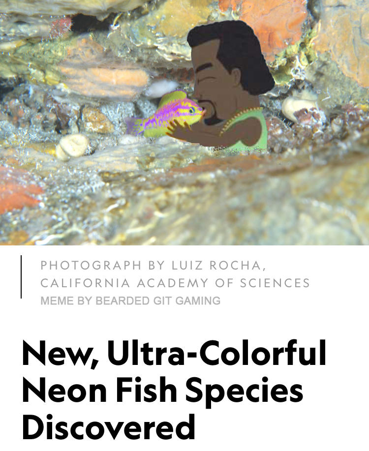 new fish | Kanye West / Ye | Know Your Meme