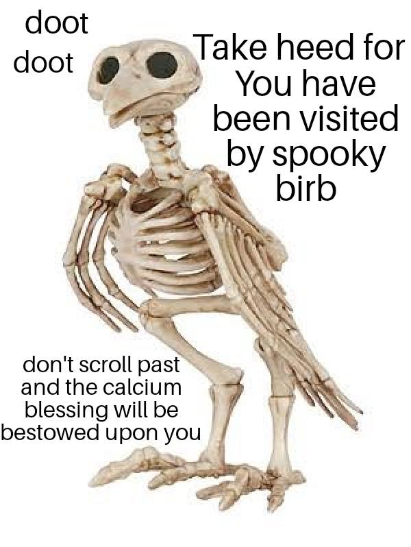 Sp00ky birb0 will bless all who stay | Skeleton Calcium | Know Your Meme
