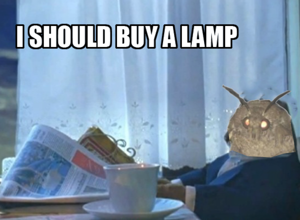 I should buy a lamp | Moth Lamp | Know Your Meme
