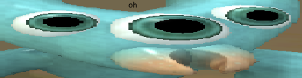 Oh | Spore | Know Your Meme