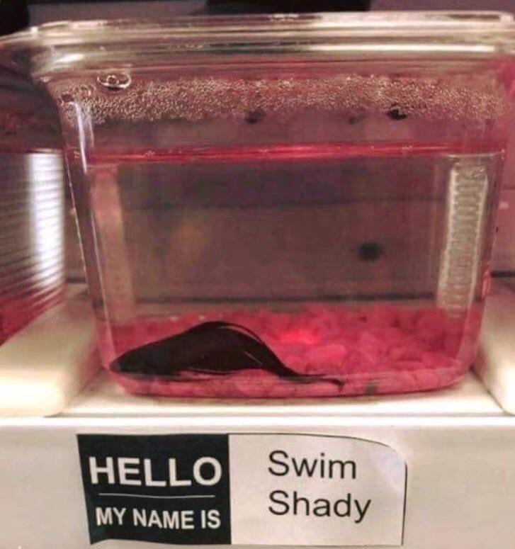 Looks about as dead as MGK’s career | Eminem | Know Your Meme