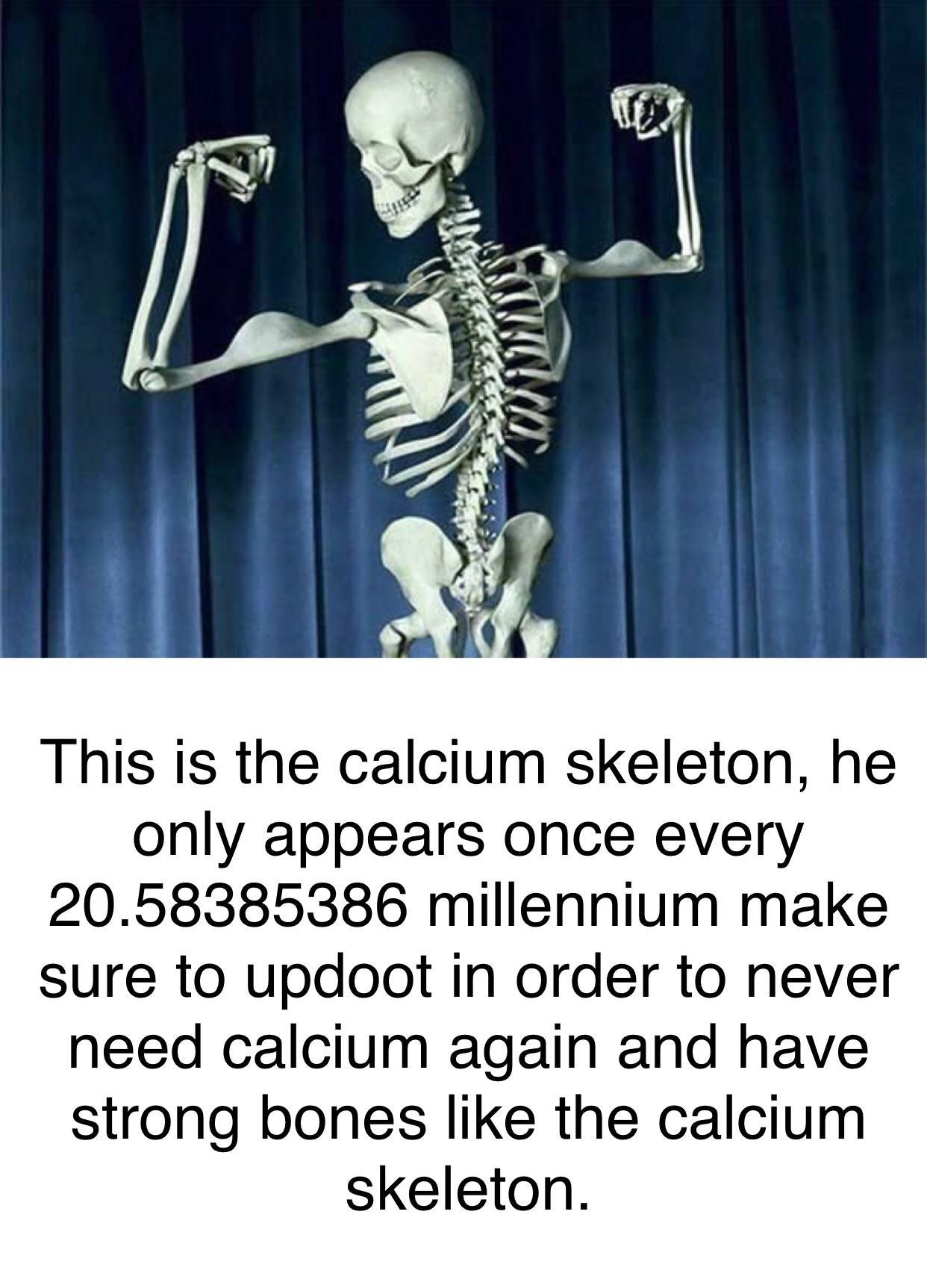 Calcium skeleton | Skeletons | Know Your Meme