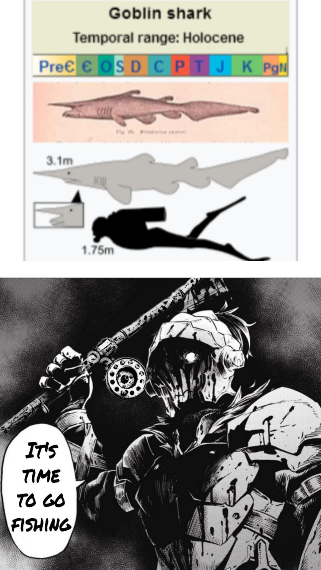 #KILLALLGOBLINS | Goblin Slayer | Know Your Meme