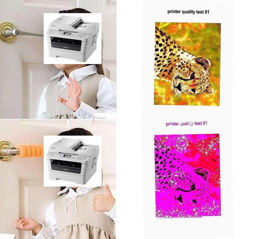 Printer quality test | Printer Magenta | Know Your Meme