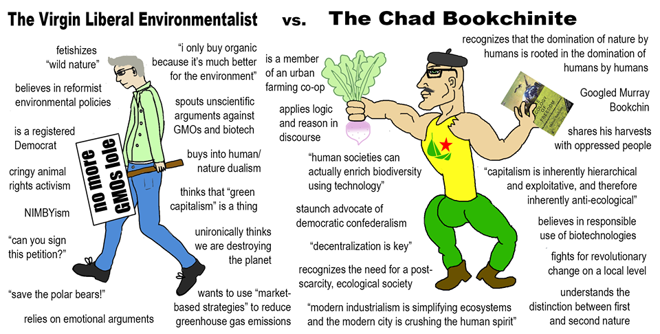 The Virgin Liberal Environmentalist vs the Chad Bookchinite | Virgin vs ...